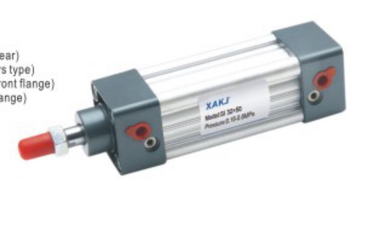 SI Standard Cylinder - AUTOPIA